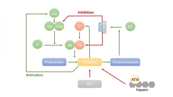 Anticoagulant testing – Nodia