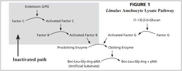 Fungitell® – Nodia
